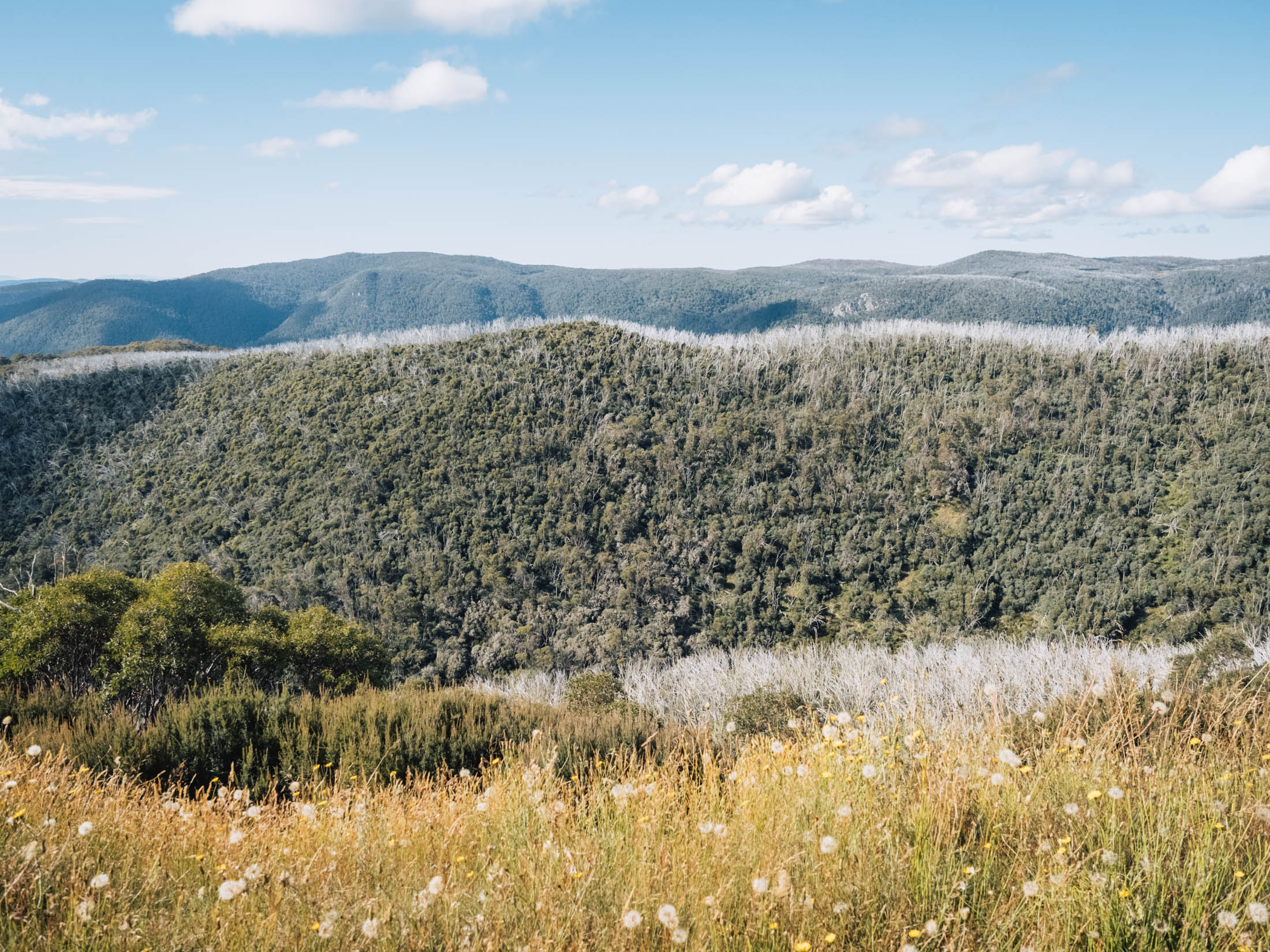 An Essential Guide to the Falls to Hotham Alpine Crossing - Beyond Wild ...
